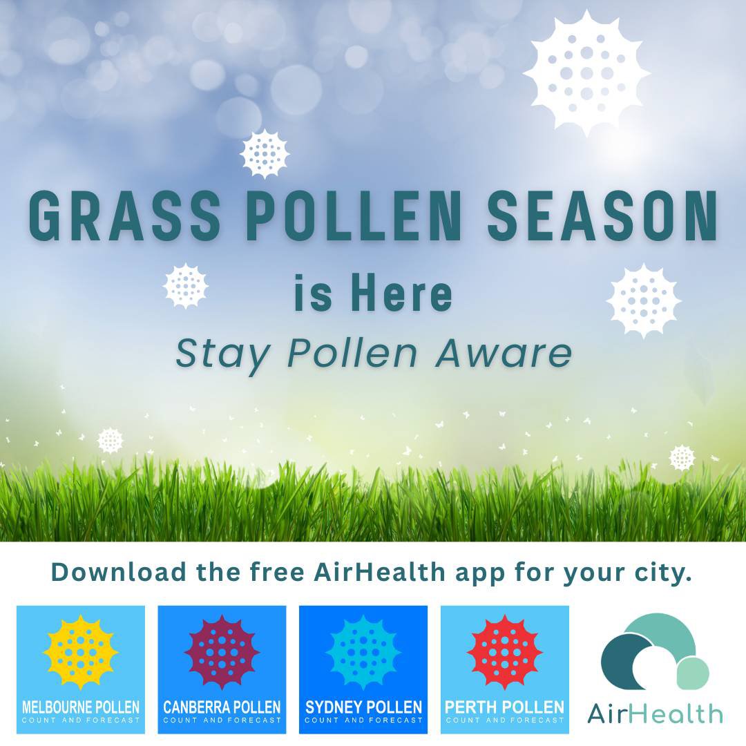 Grass Pollen Season Has Begun: What You Need to Know - Canberra Pollen